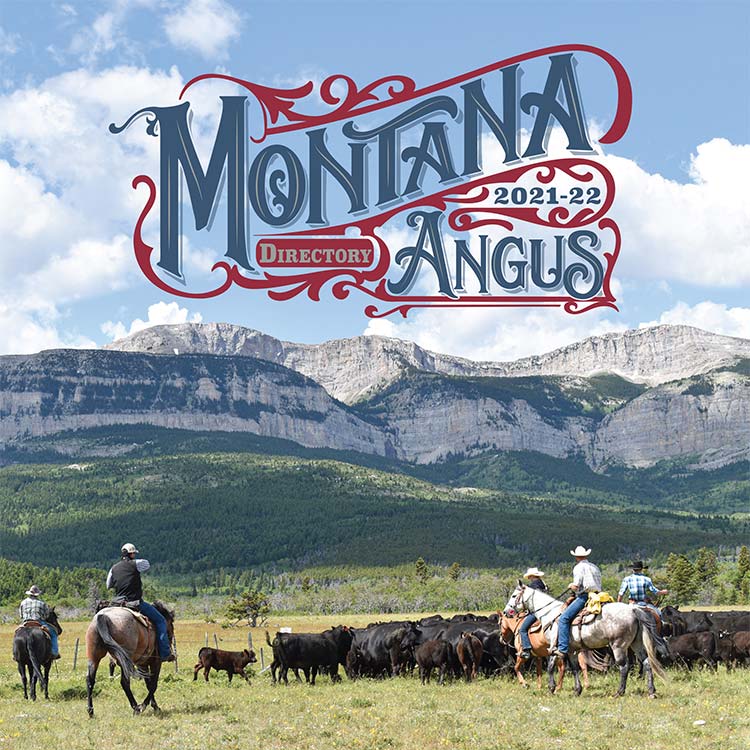 Montana Angus Tour | Montana Angus Association