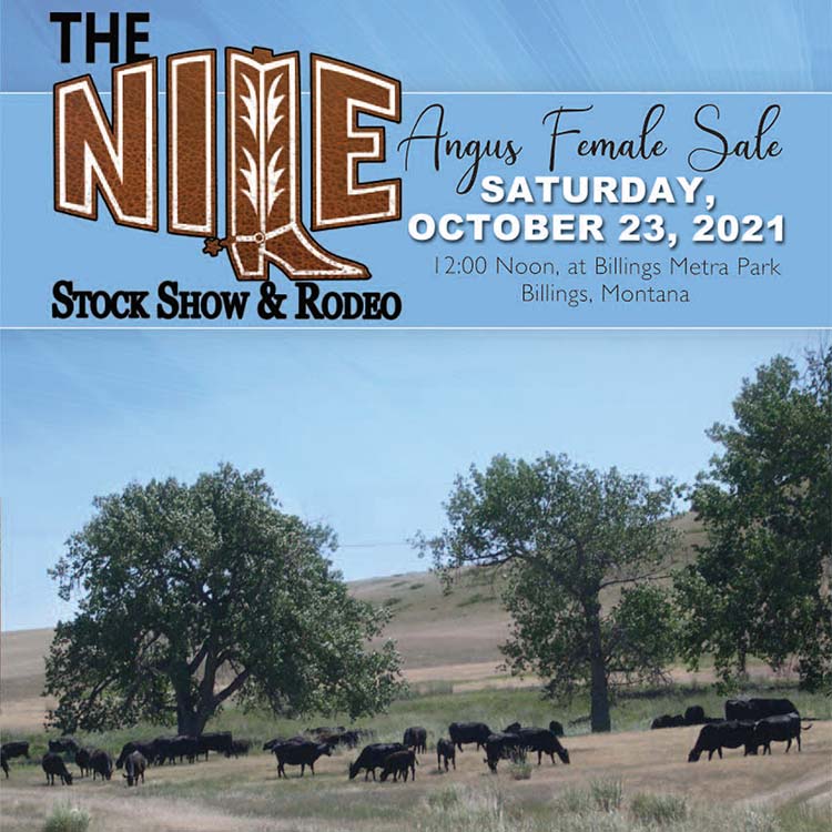 Montana Angus Tour | Montana Angus Association